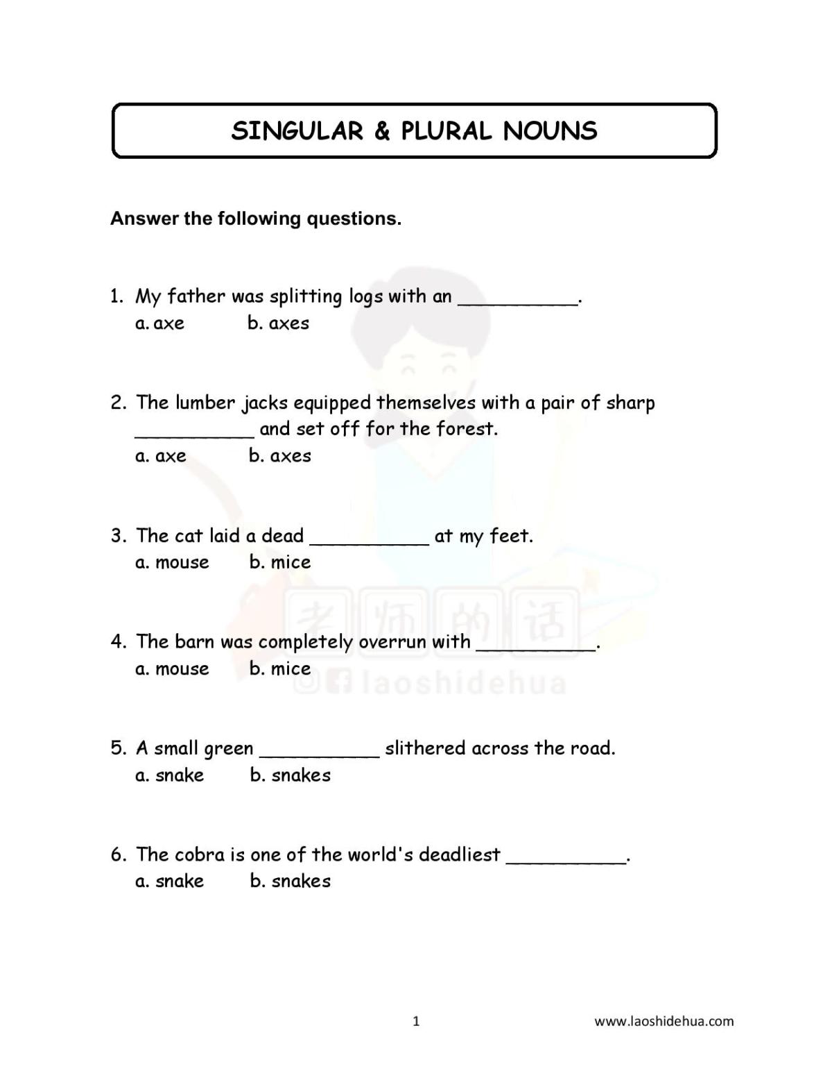 Singular and Plural Nouns | Note and Exercise – 老师的话 lao shi de hua